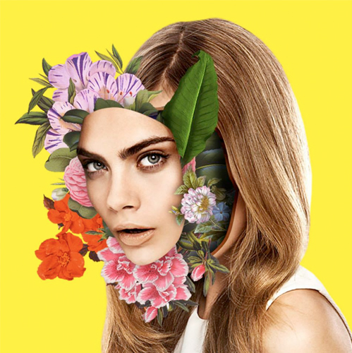 Marcelo Monreal makes portraits of sliced flower faces | Flower Factor