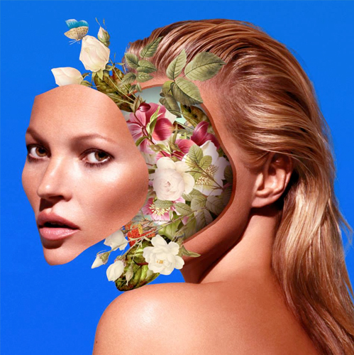 Marcelo Monreal makes portraits of sliced flower faces | Flower Factor