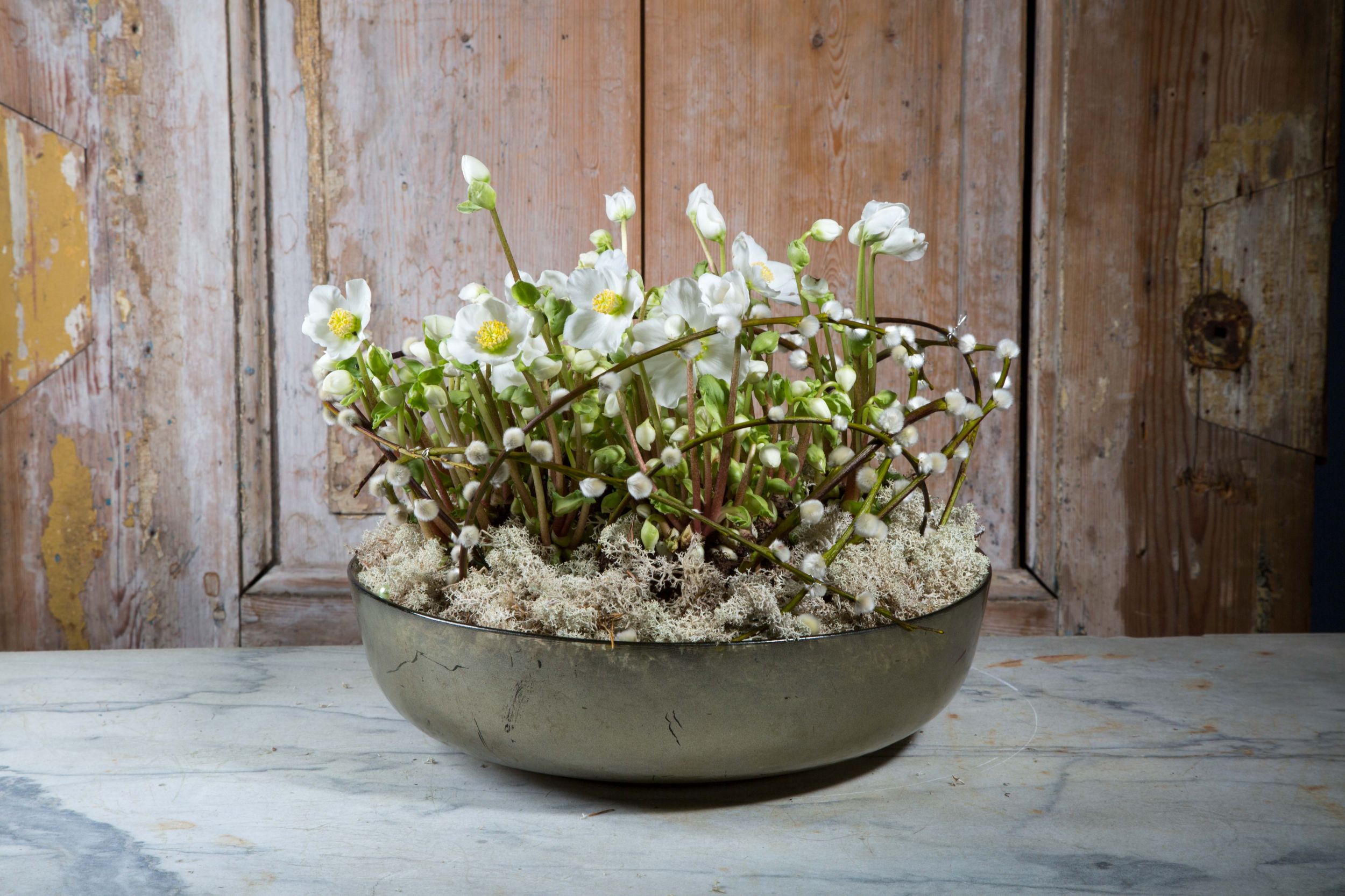 Winter Angels | Flower Factor