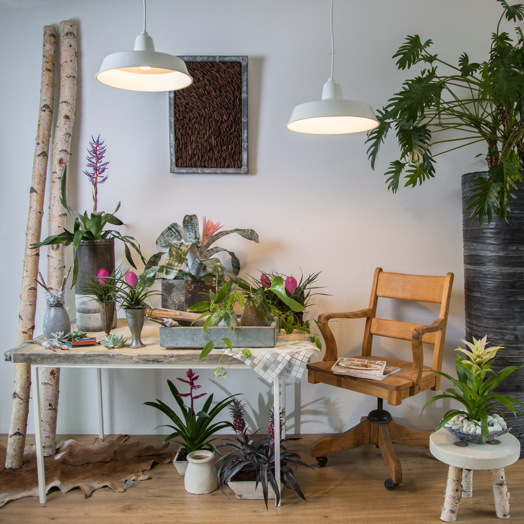 A green study environment | Flower Factor