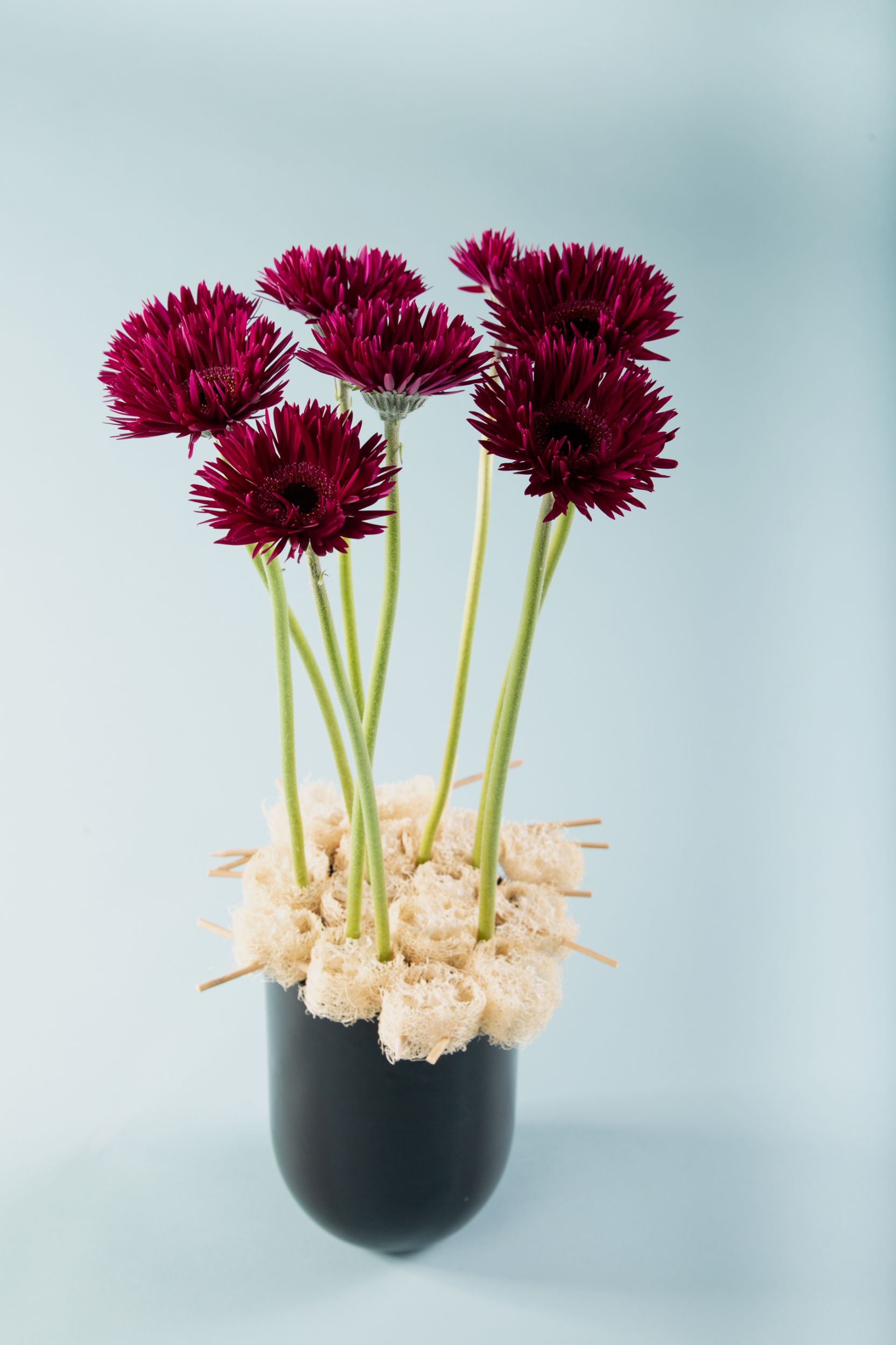 Elegant and contrasting mini Gerbera design | Flower Factor