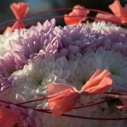 Chrysanthemum bouquet ideas | Flower Factor