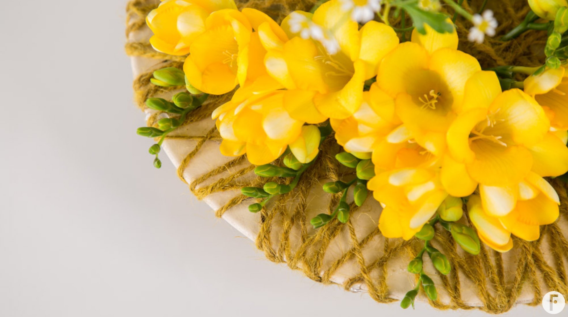 #FreestyleFreesia: a Freesia-filled garden | Flower Factor