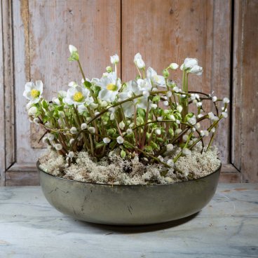 Winter Angels | Flower Factor