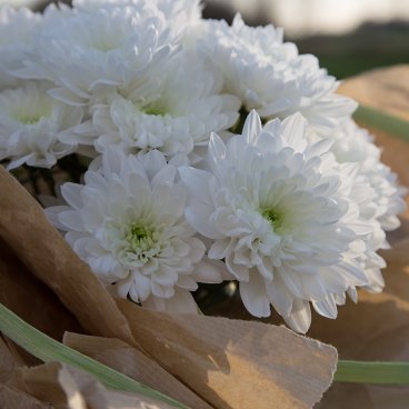 Chrysanthemum bouquet ideas | Flower Factor