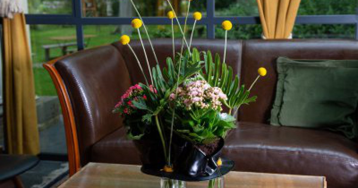 Photos of inspiring plant arrangements | Flower Factor