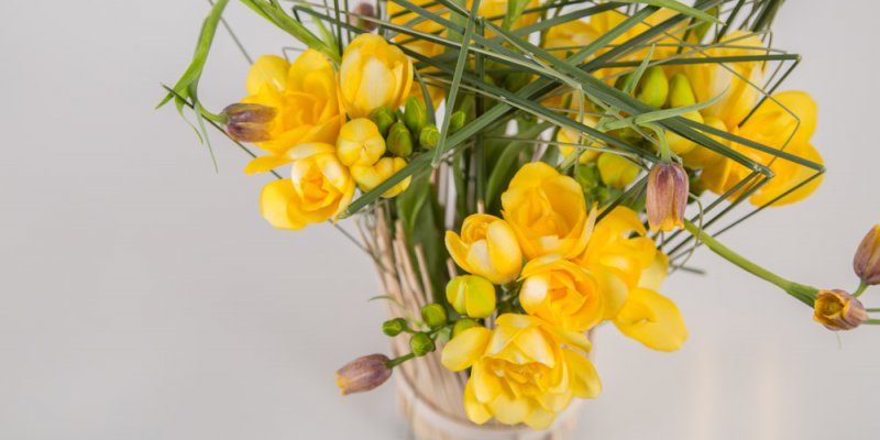 Freesia flower arrangement ideas | Flower Factor