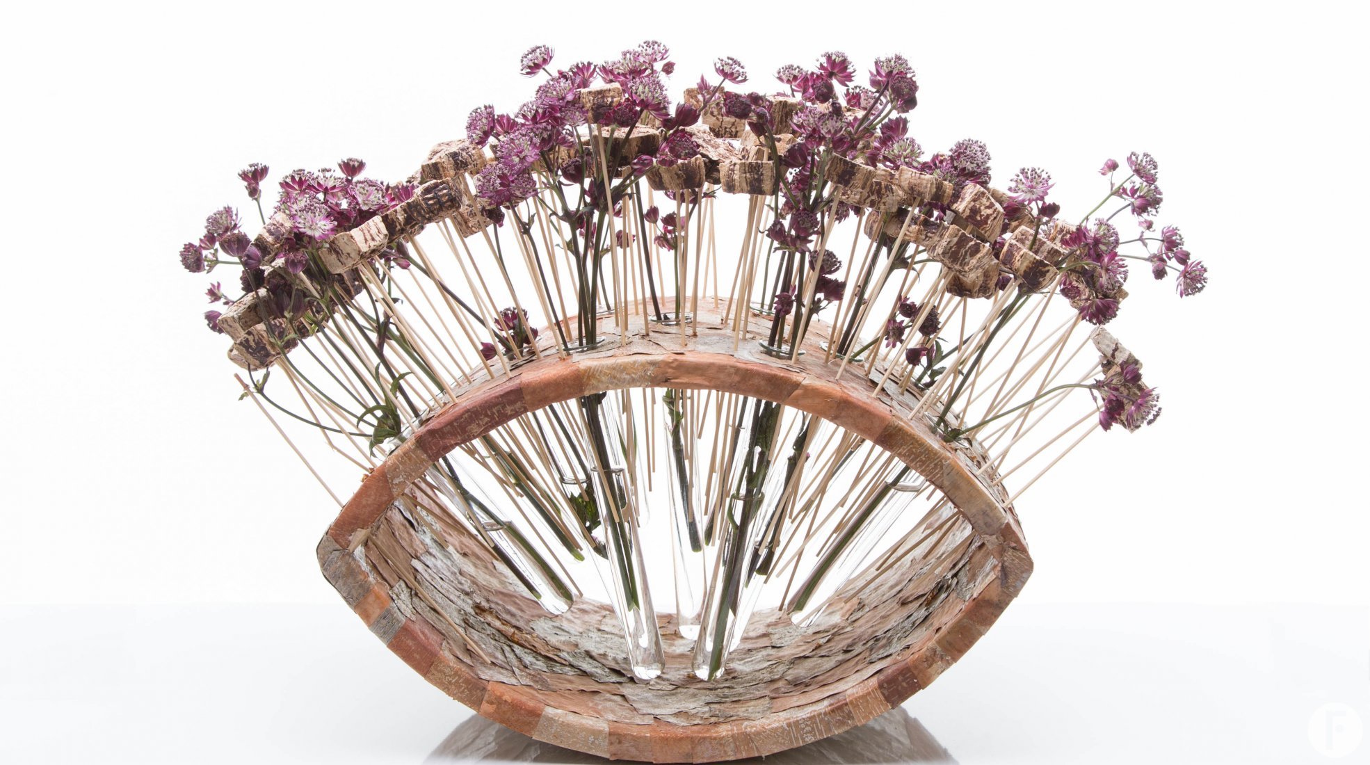 floral object from bark | Flower Factor