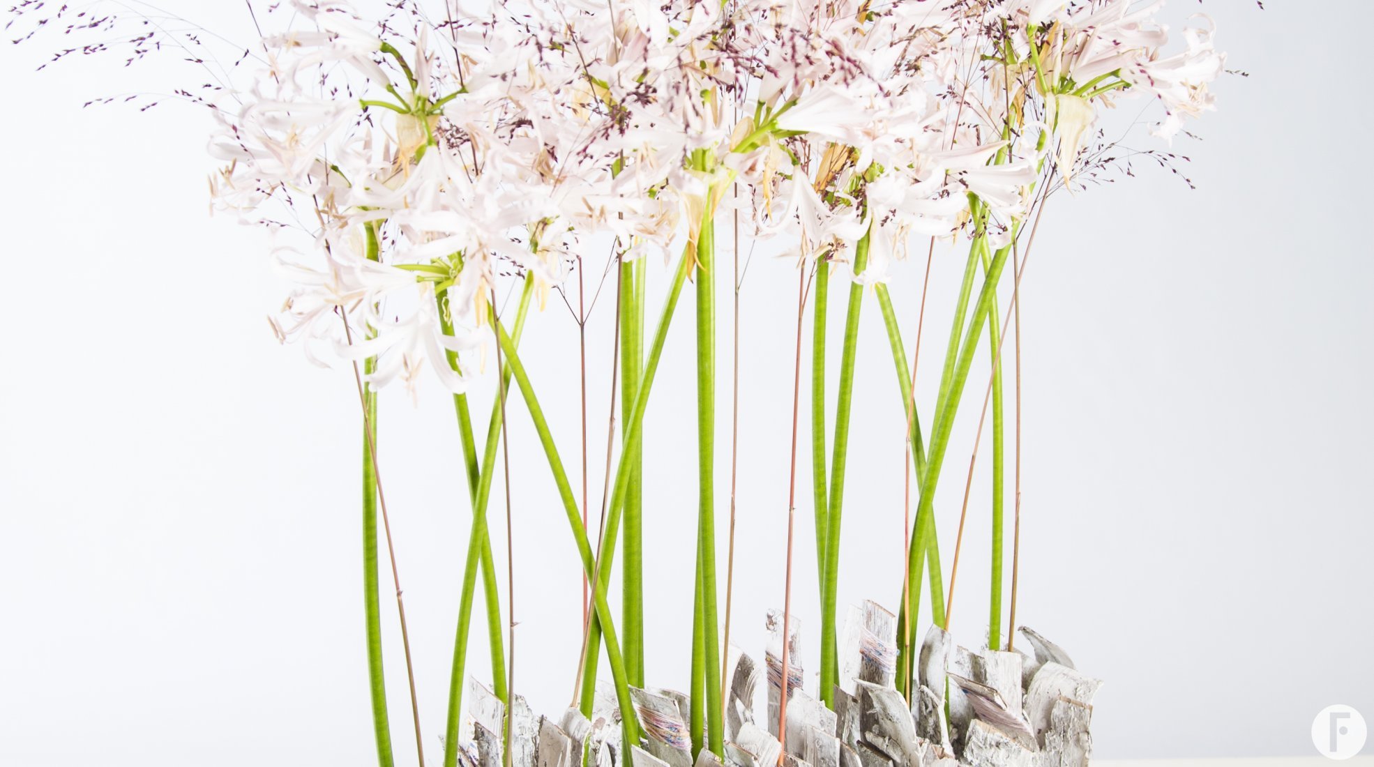 Skittish flower object with fun details | Flower Factor