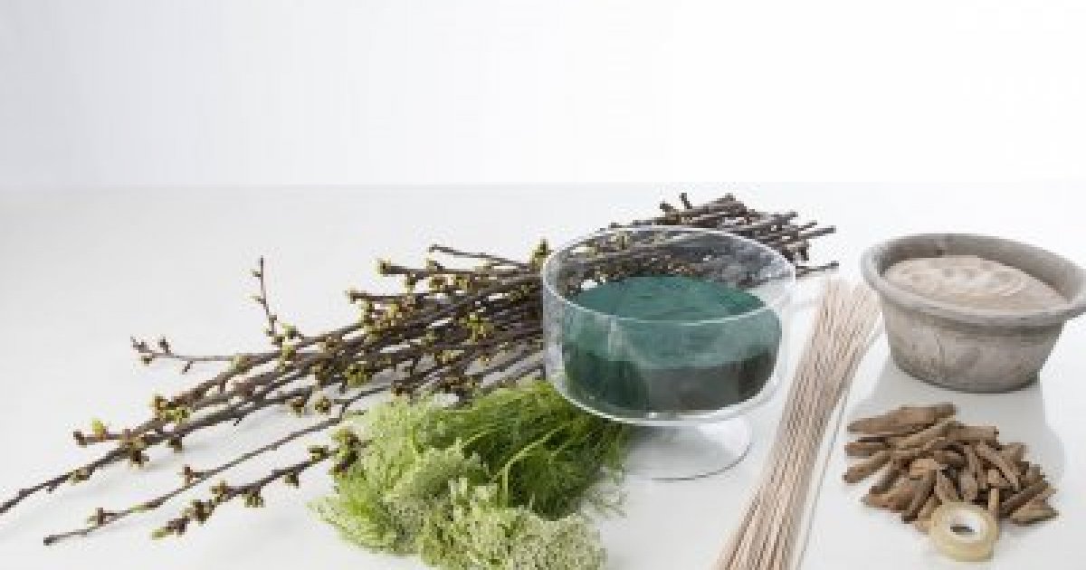 Step by Step: Blossoming branches | Flower Factor